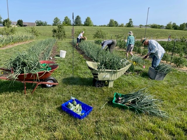 Sunset Garden Update July 2023